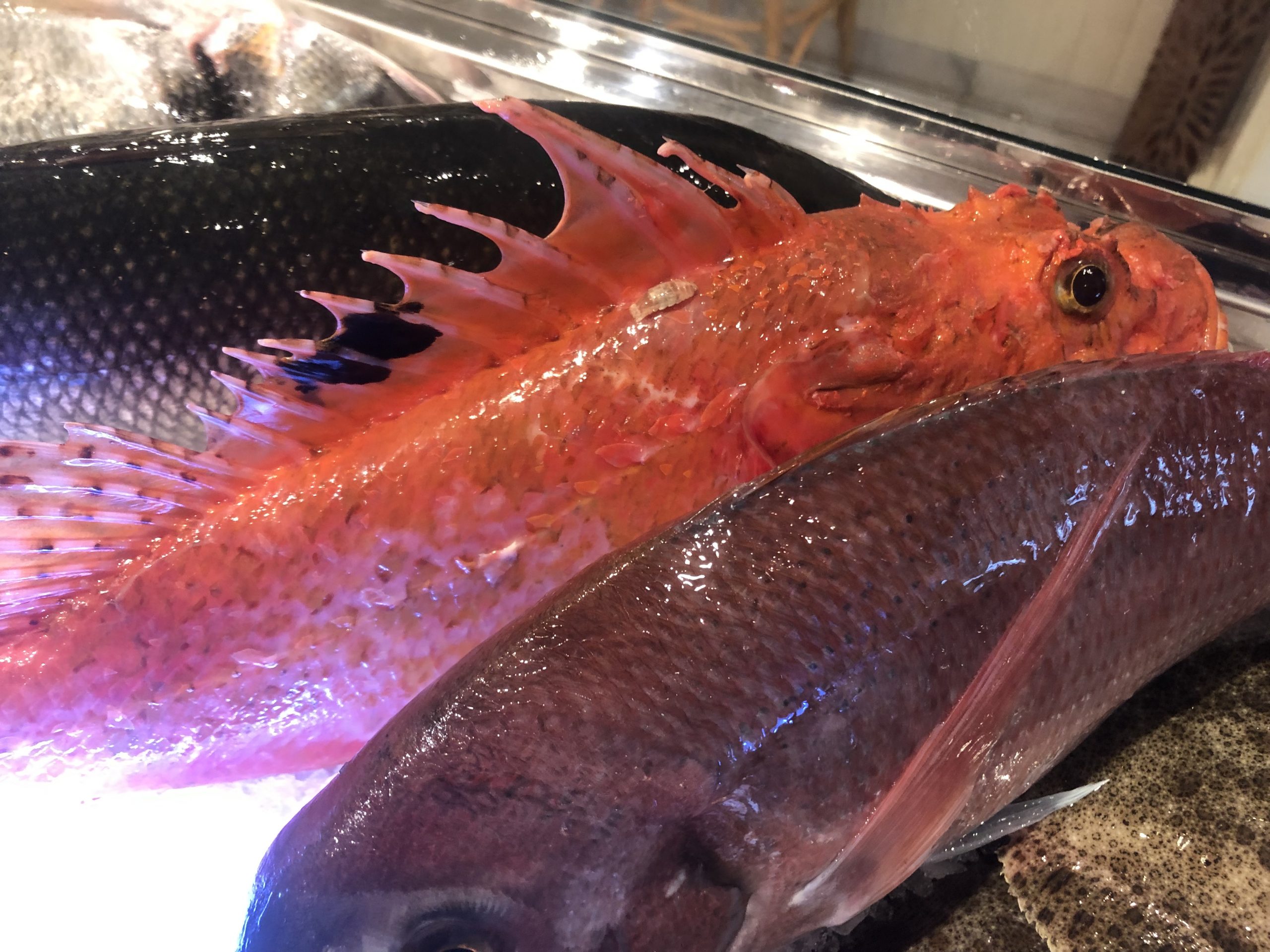 Pescado y Marisco en la Semana Santa sevillana con Jaylu